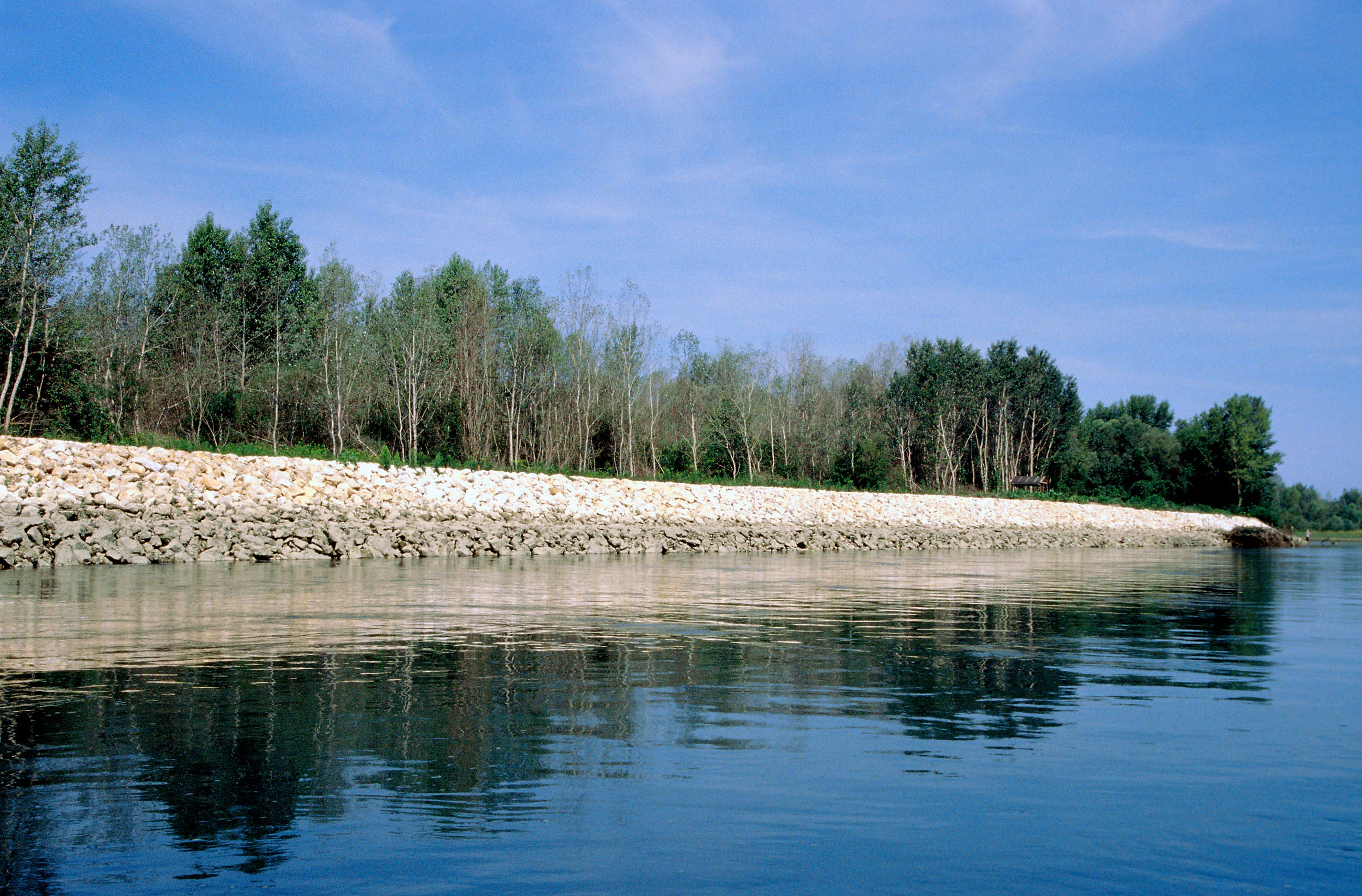 Massive destruction of “Europe’s Amazon” planned ahead of Croatia’s ...