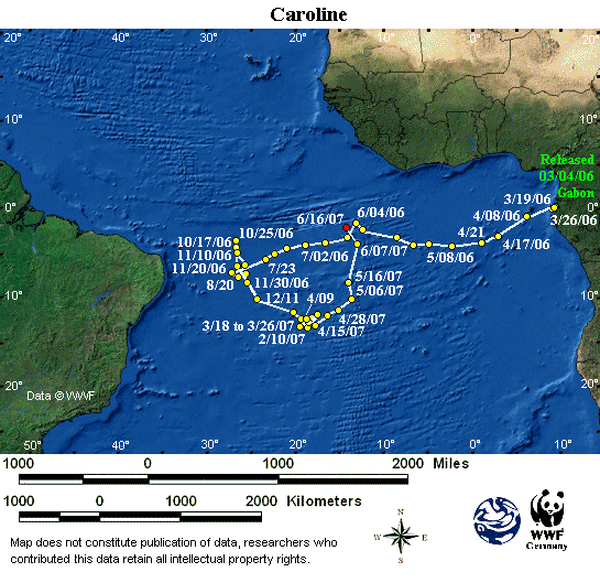Caroline: map locator 41 | WWF
