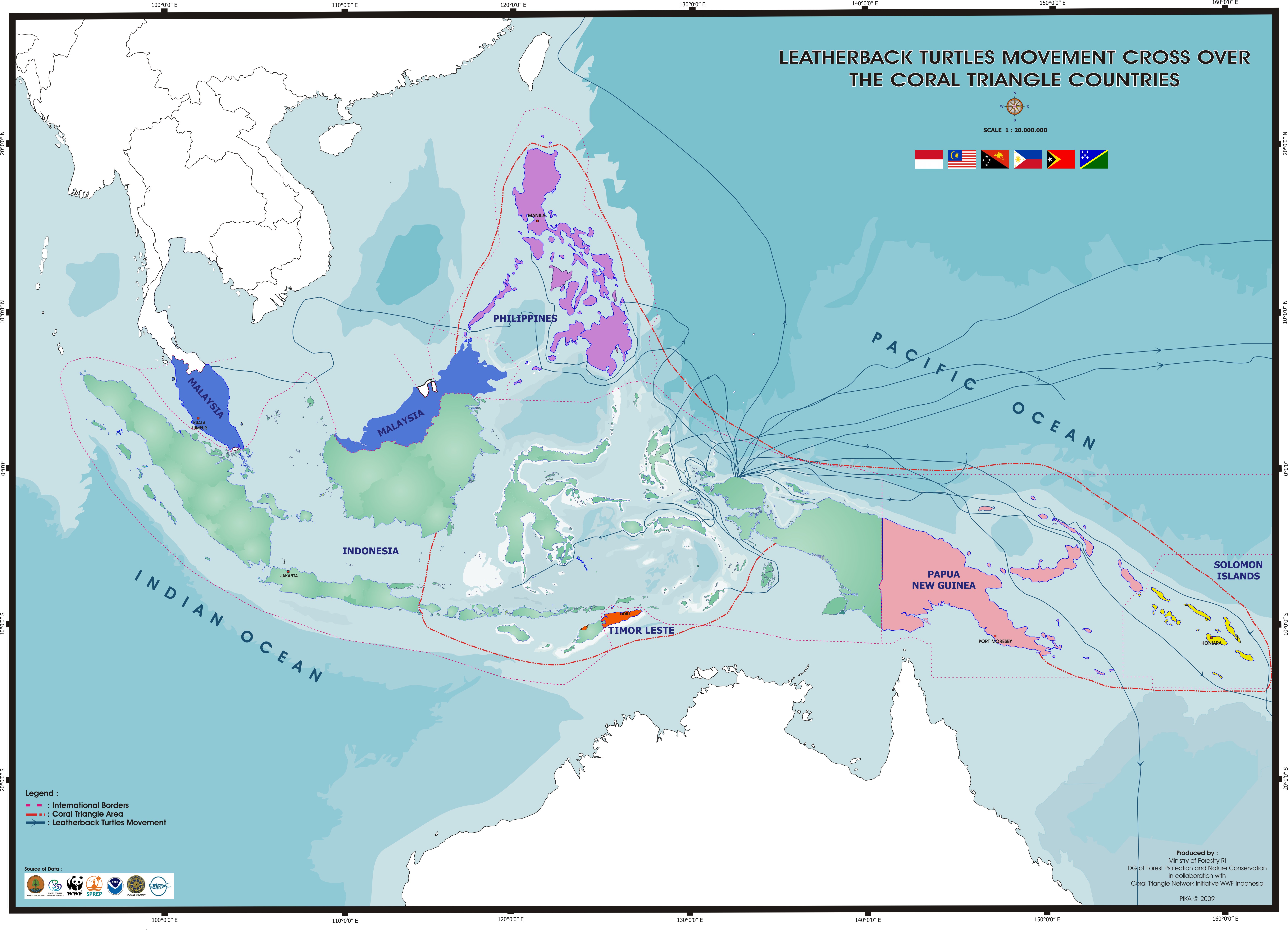 Leatherback turtle migrations in the Coral Triangle | WWF
