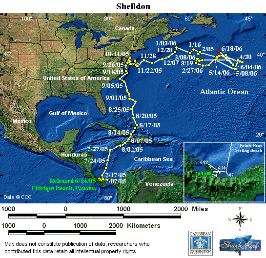 Shelldon: map locator 47 | WWF