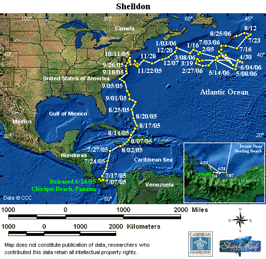 Shelldon: map locator 55 | WWF