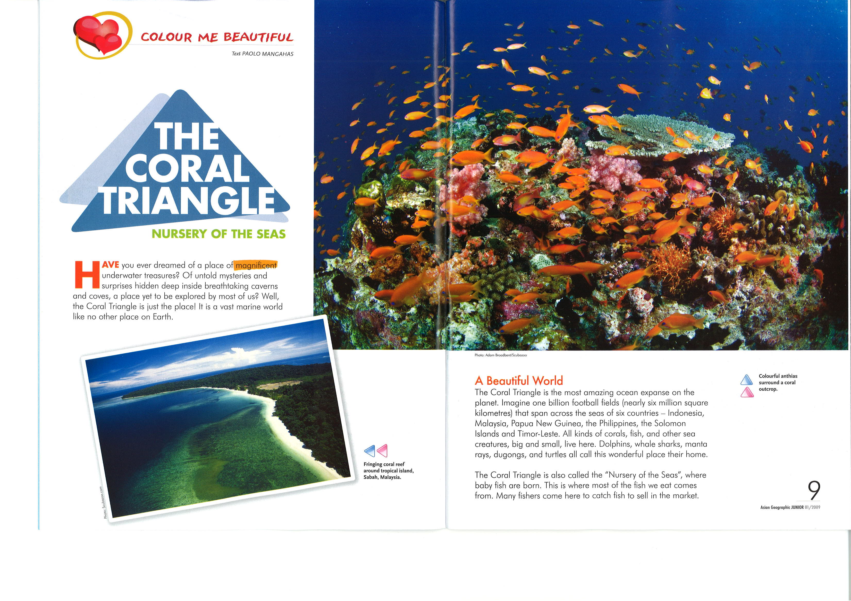 The Coral Triangle - Asian Geographic Jr No.1 Issue/2009 | WWF