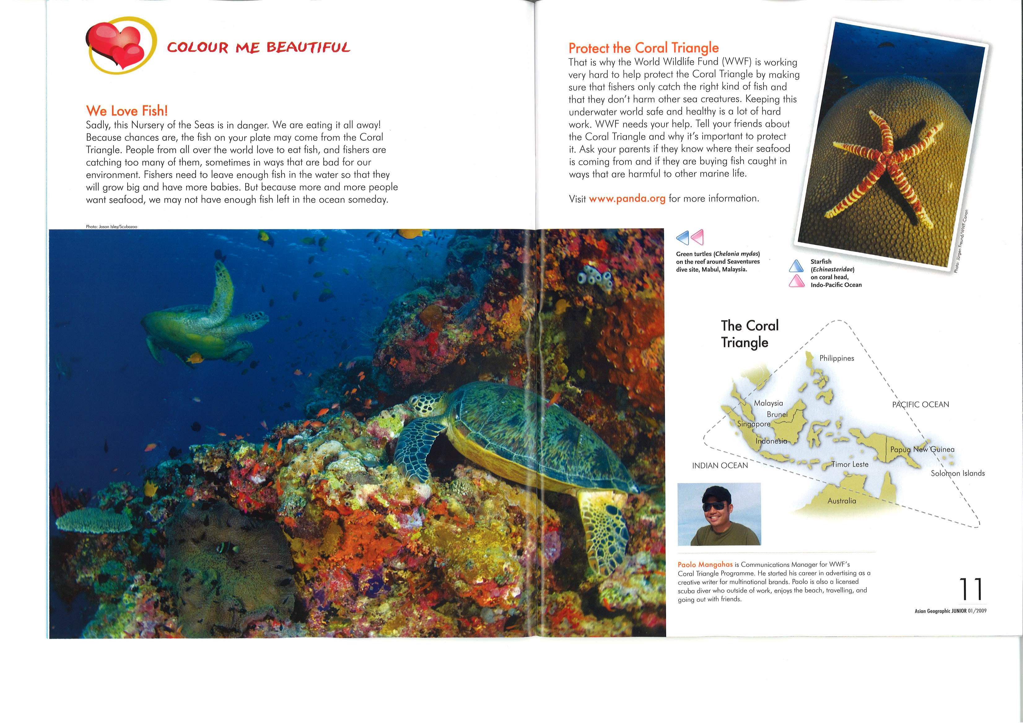 The Coral Triangle - Asian Geographic Jr No.1 Issue/2009 | WWF