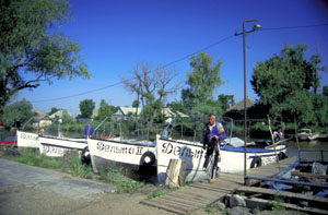 Let the rivers flow: Tataru Island springs to life! | WWF