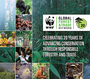 GFTN 20th Anniversary Report | WWF
