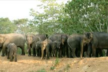 7 Main Points on Lessons Learned from the past 10 years on Human ...