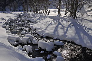 Climate Witness: Kenji Ito, Japan | WWF