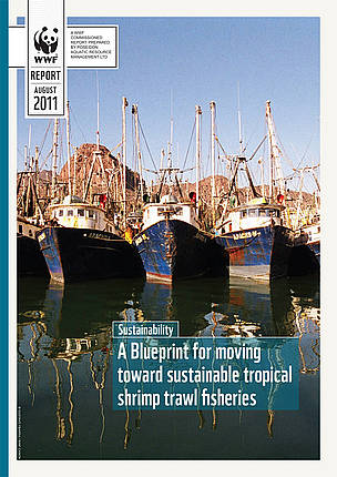 A Blueprint for moving toward sustainable tropical shrimp trawl ...