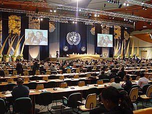 WWF calls international meeting for Small Island Developing States a ...