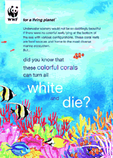 Coral bleaching brochure | WWF