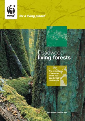 Deadwood - living forests. The importance of veteran trees and deadwood ...