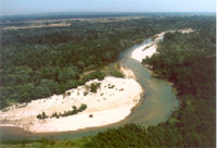 Swimming the Drava River | WWF