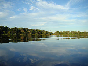 Amazon Protected Areas, Indigenous Lands and Biodiversity | WWF