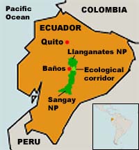 Treasures in the Ecuadorian Andes | WWF