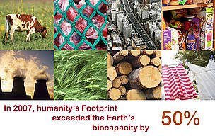 Звіт WWF Lіvіng Planet 2010: світу потрібна зелена економіка | WWF