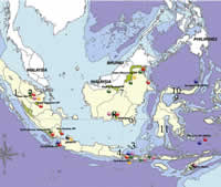 Protection boost for elephants, tigers and orang utans in Indonesian ...