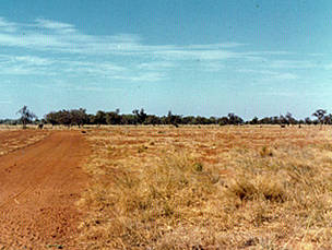 Climate Witness: Hugh Innes, Australia | WWF