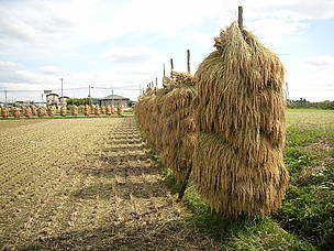 Climate Witness: Katsuo Sasaki, Japan | WWF