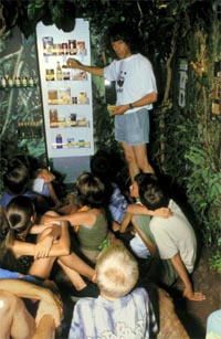 The Pandamobile: a story of wildlife, children, and passion | WWF