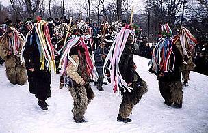 The Dance of the Bear | WWF