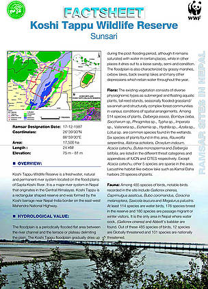 Koshi Tappu Factsheet | WWF