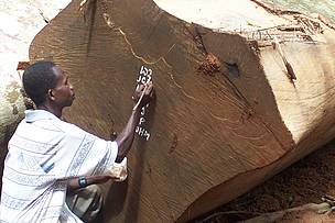 GFTN Ghana participants John Bitar & Company Ltd. and Logs and Lumber ...