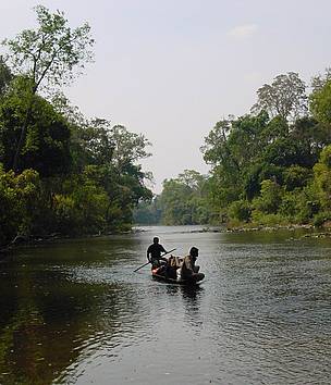 A shock to the ecosystem as gold mining explodes across Cambodia | WWF