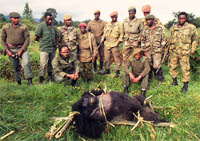 Surviving through war | WWF