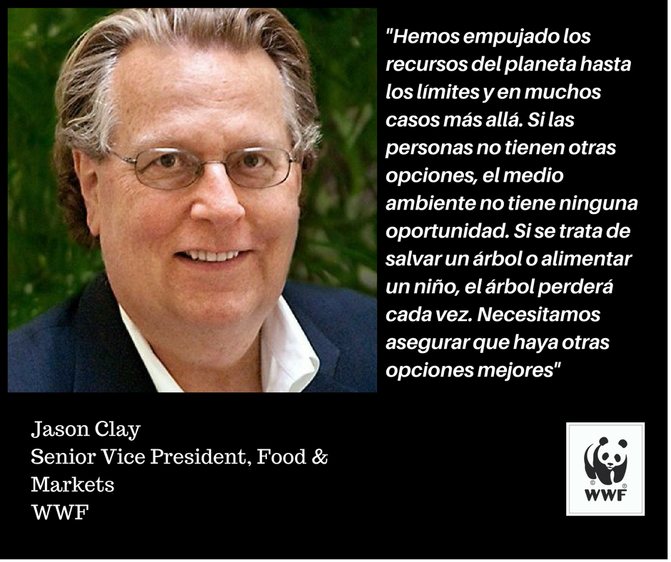 Lo que realmente dijo Jason Clay | WWF