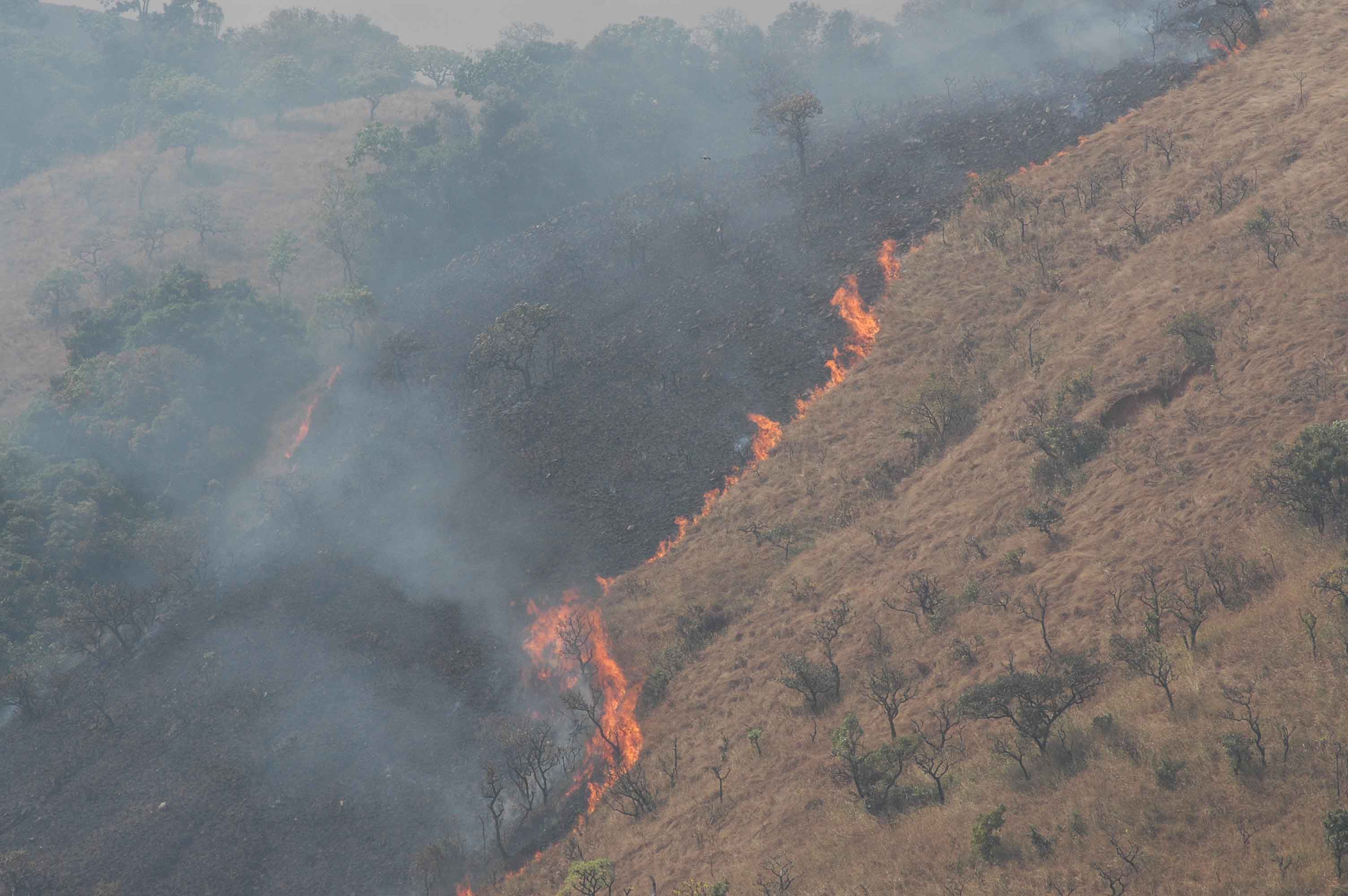 Climate change: Act Now! WWF tells Cameroon MPs | WWF