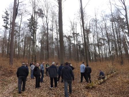 Forestry study tour took place in Germany for policy holders and ...