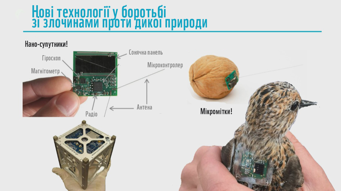 PandaSat: яким буде перший космічний супутник від WWF? | WWF