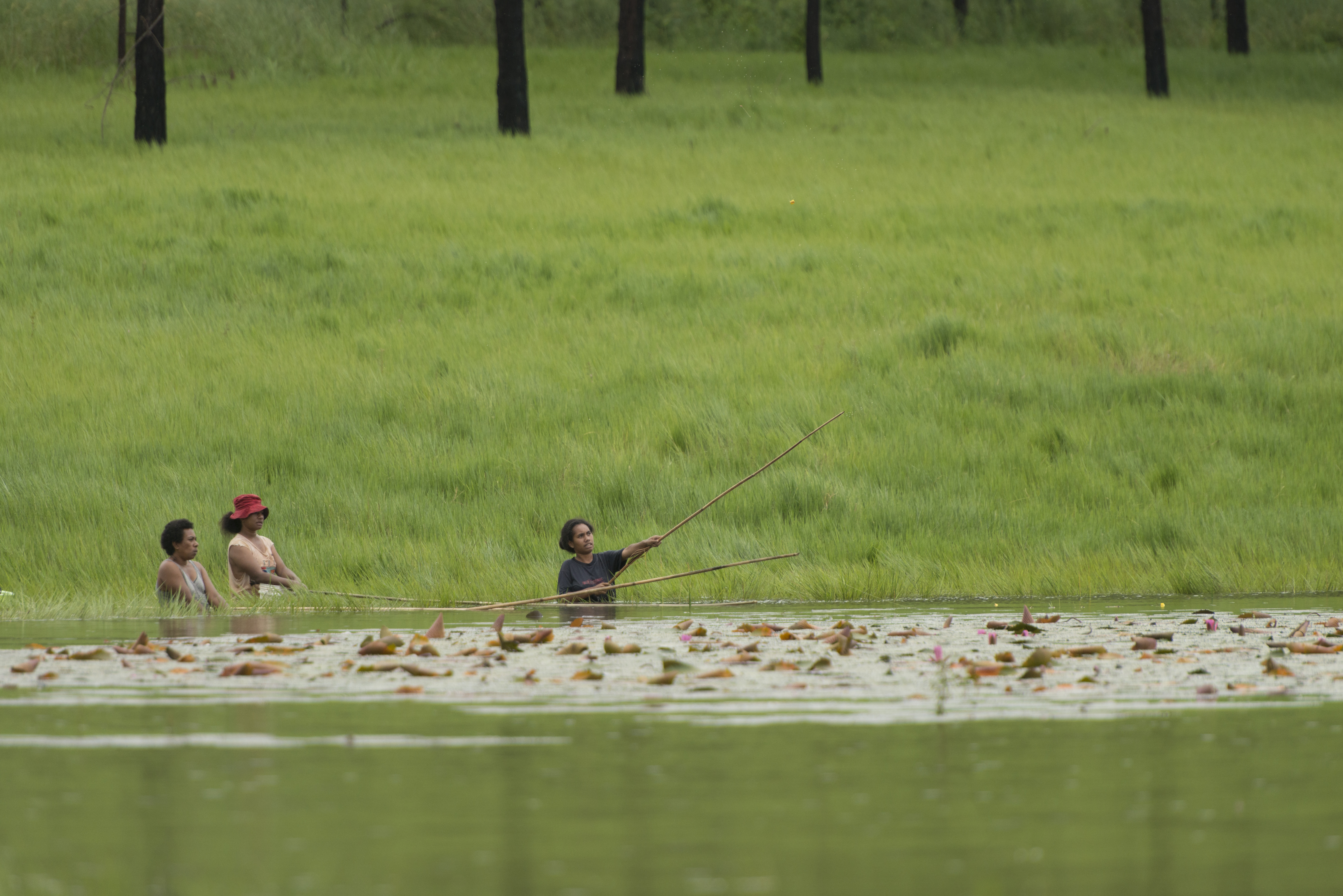 Healthy Wetlands needed for Healthy Ecosystems | WWF