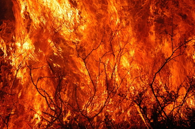 Fighting forest fires in Spain | WWF