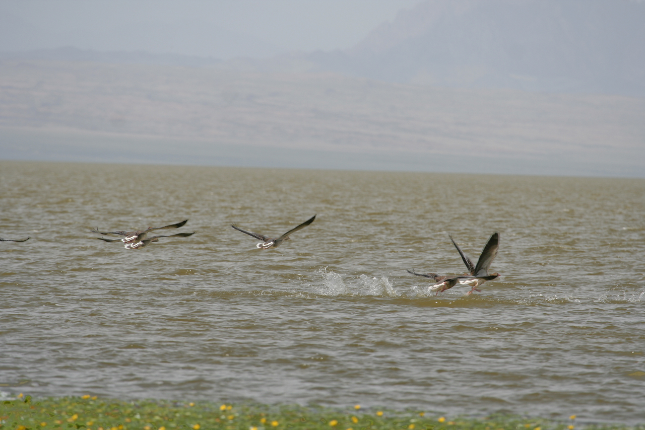 In additional, 1.5 mln hectares at ASER approved the water protection ...