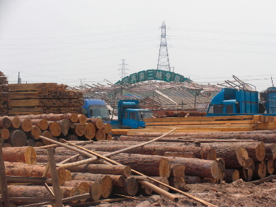 WWF welcomes launch of Forest Stewardship Council in China | WWF