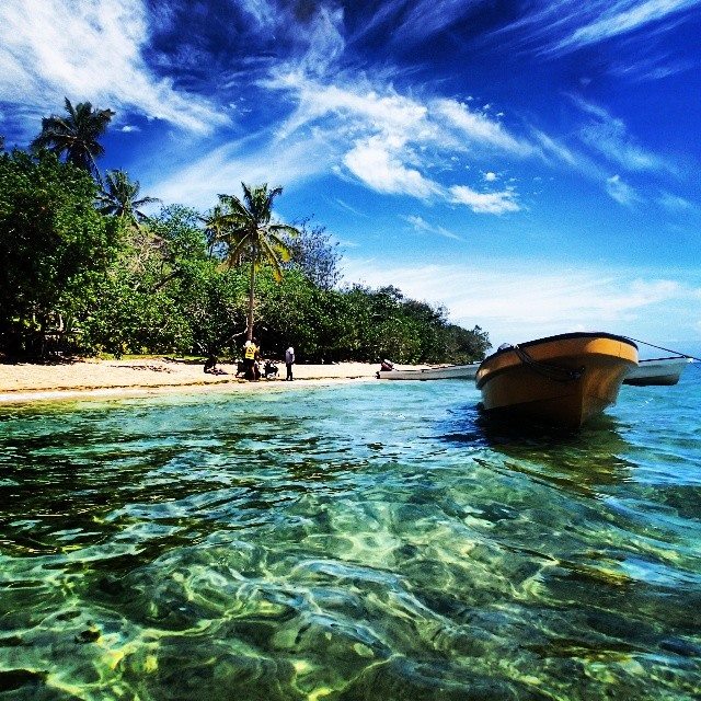 Treasures of the deep | WWF