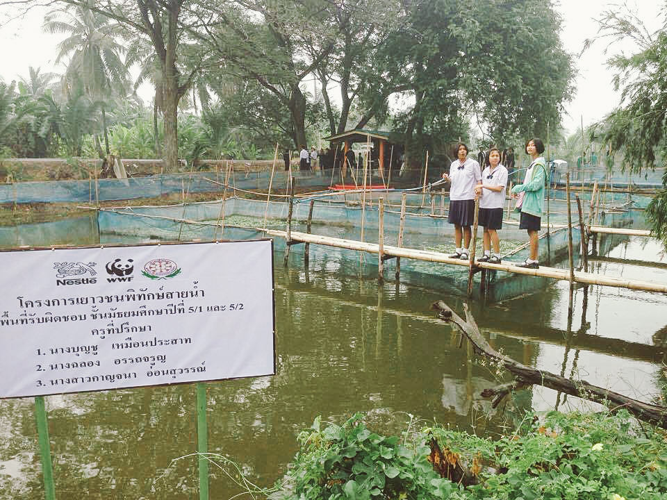 Nestlé supports third year of successful Youth Water Guardian Project | WWF