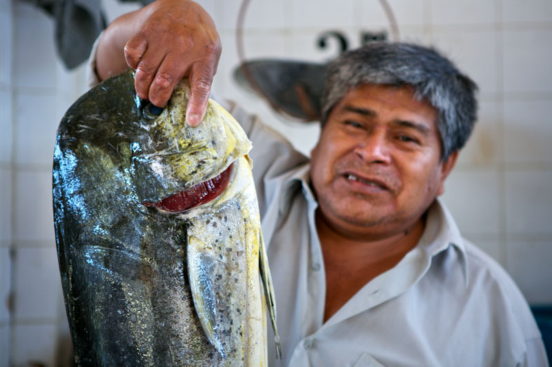 When fishermen demand a closed season | WWF