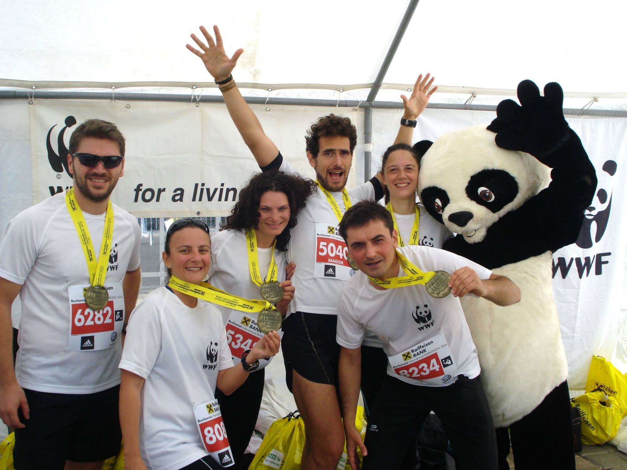Team Panda to run at the marathons in Bucharest and Sofia on 4 October ...