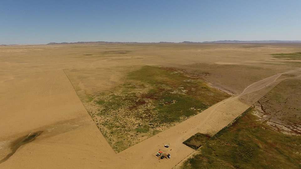 Successfully fighting against desertification | WWF