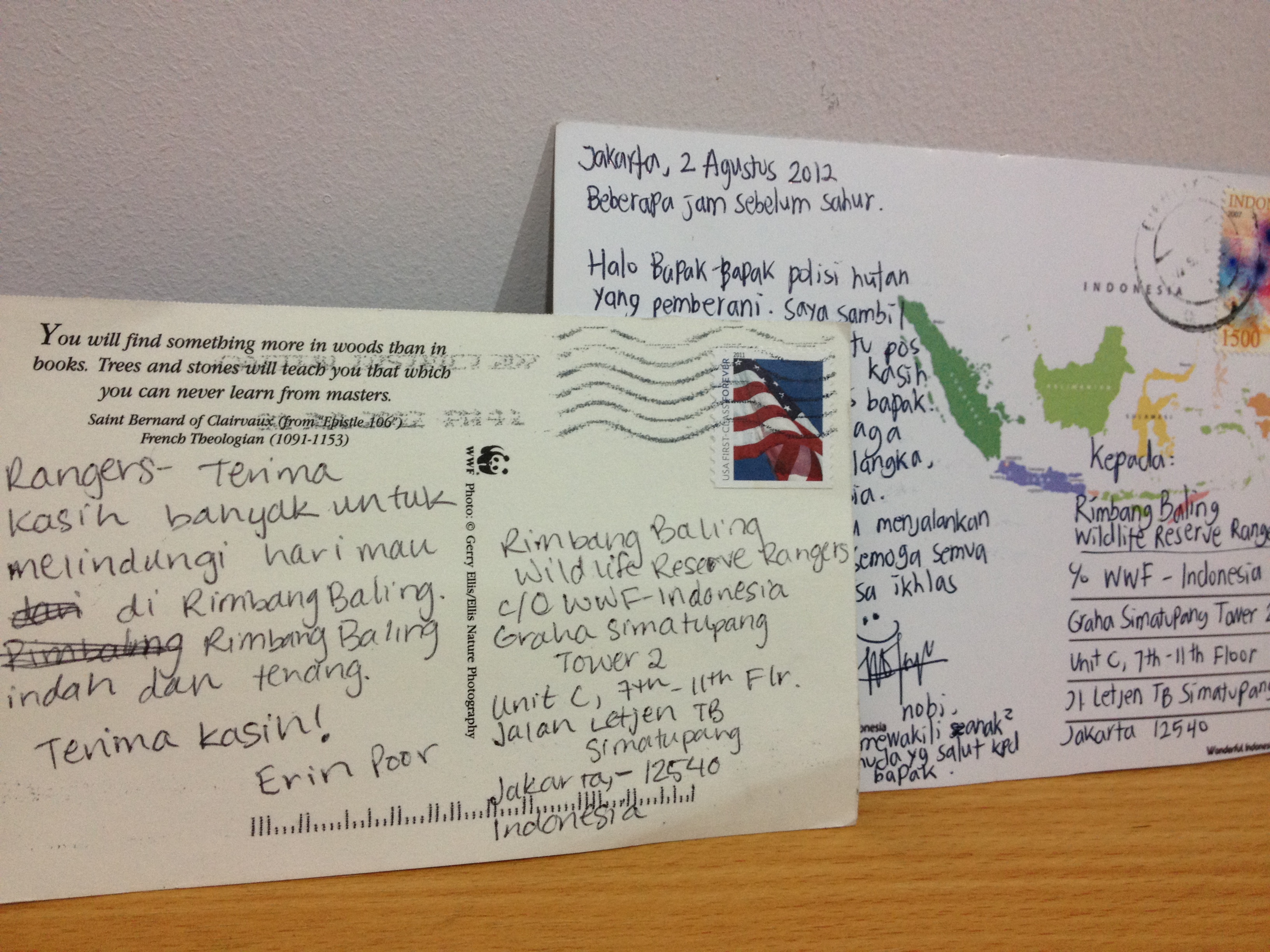 First postcards for tiger rangers arrive in Indonesia! Is one of them ...