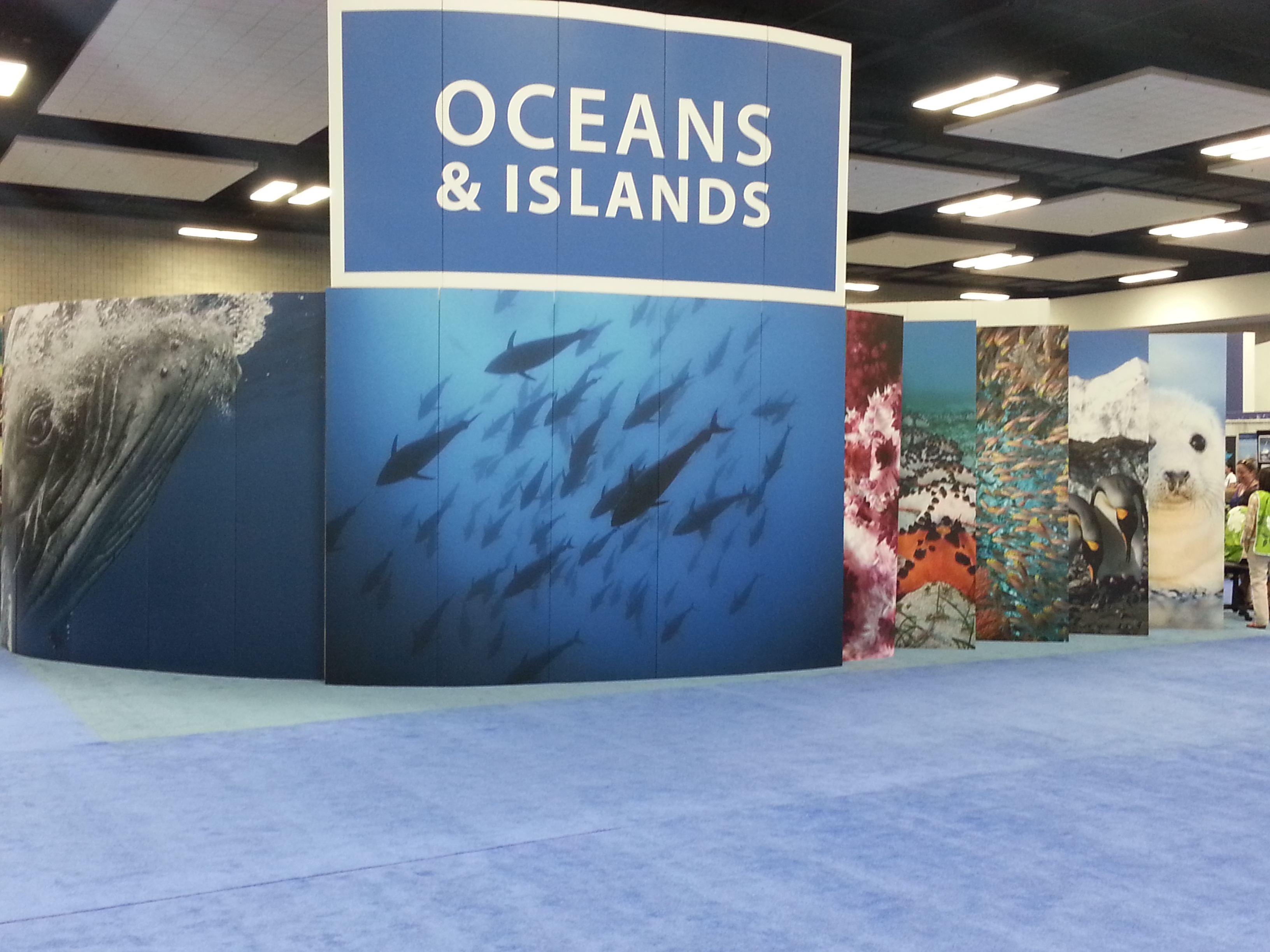 IUCN brings together conservation experts to develop guidelines for ...