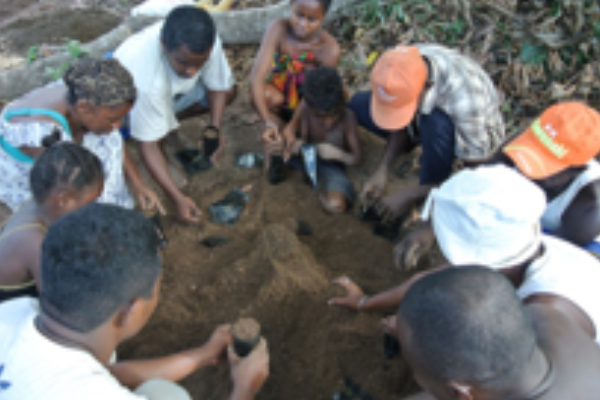 Volunteer opportunity in Madagascar's Northern Mozambique Channel with ...
