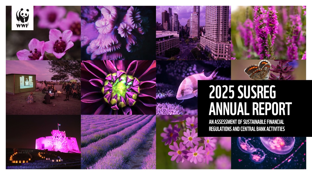 SUSREG 2025: Climate and Nature Risk - Work in Progress, Opportunities ...