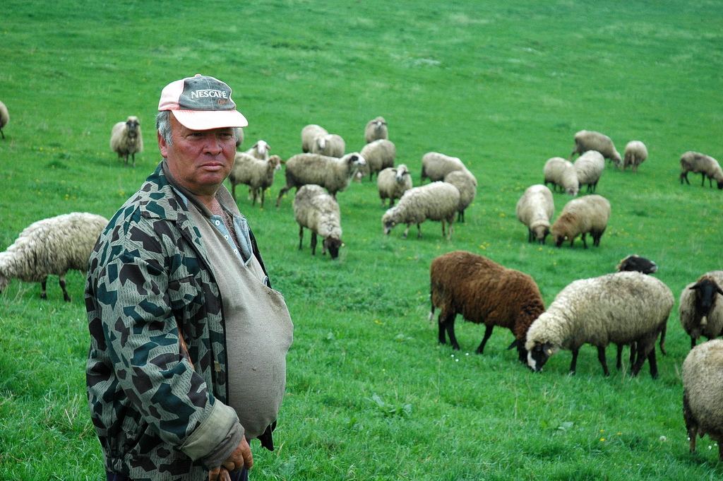 Funds miss the small farmers caring for marginal but environmentally ...