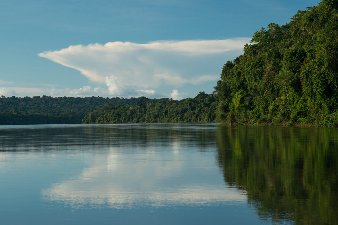 The importance of the Amazon for Sustainable Development | WWF