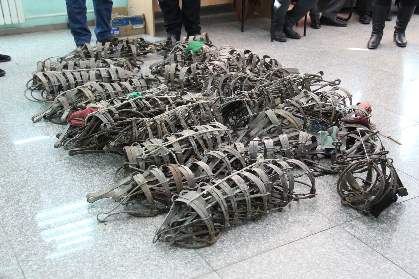 Rangers have confiscated 438 traps under a two month campaign | WWF