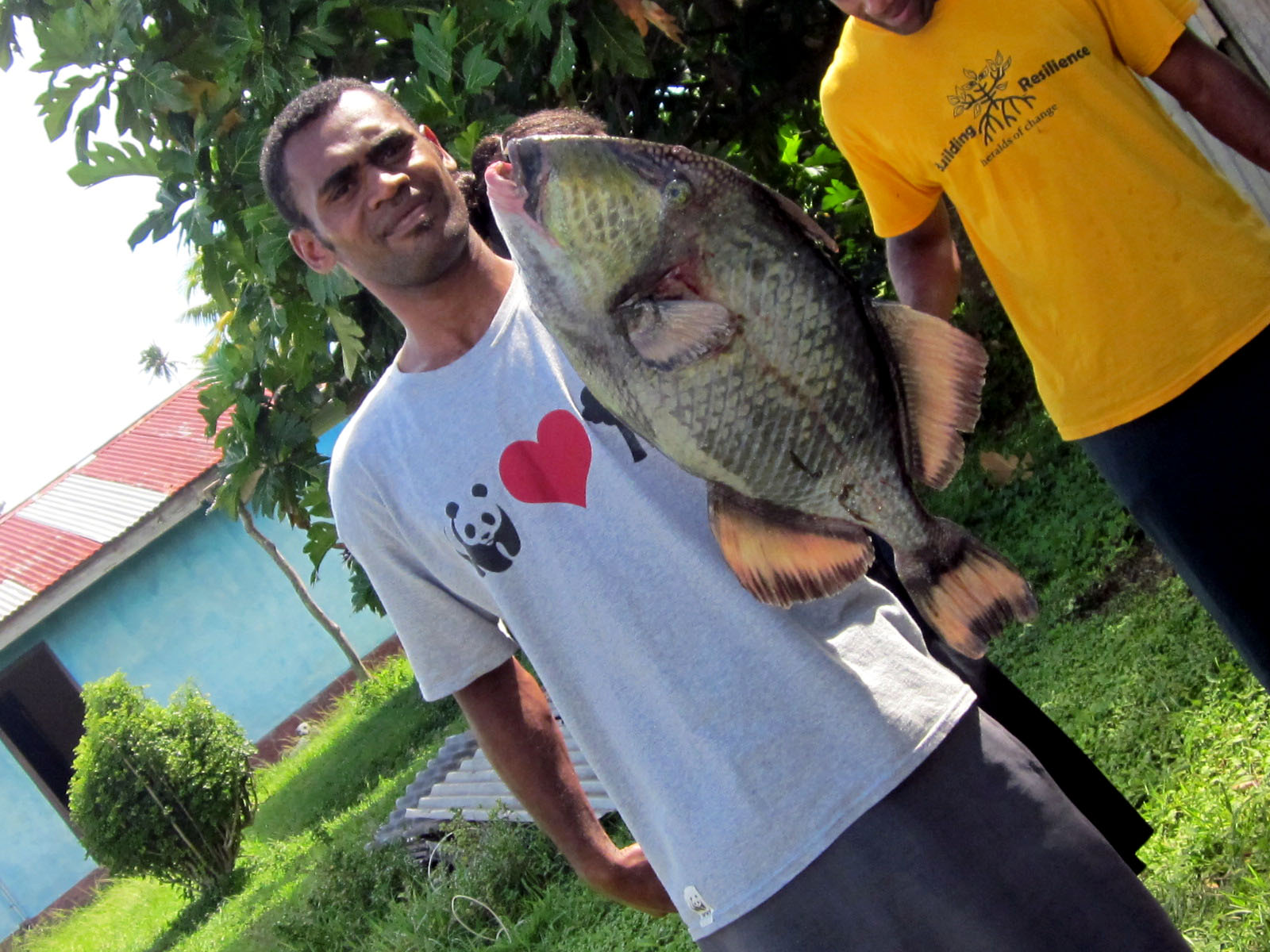 WWF South Pacific and Sawaieke Community Revise Dangers of Poaching | WWF