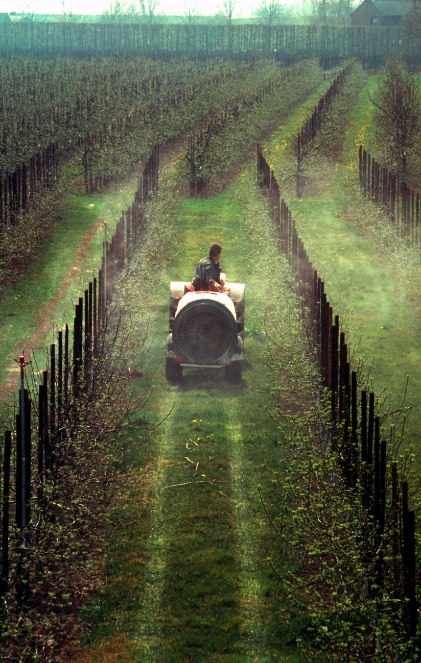 “Your view on food and farming”: WWF photo competition | WWF